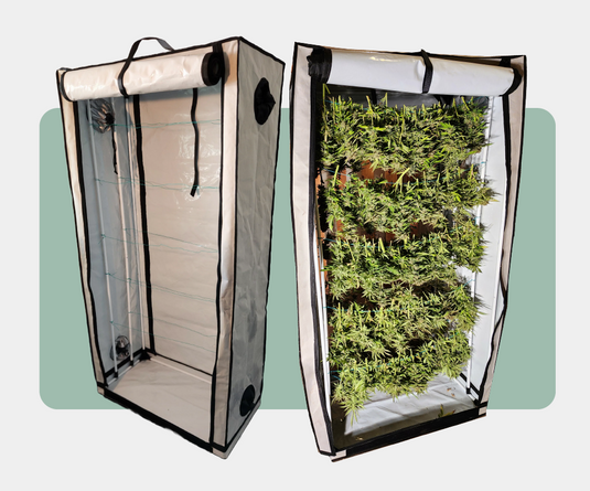 Canna Dry Tent | Hang dry your buds in this herb drying tent.